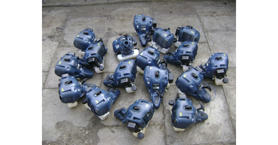 Motor motocoasa Einhell BG-BC 25 | arhiva Okazii.ro