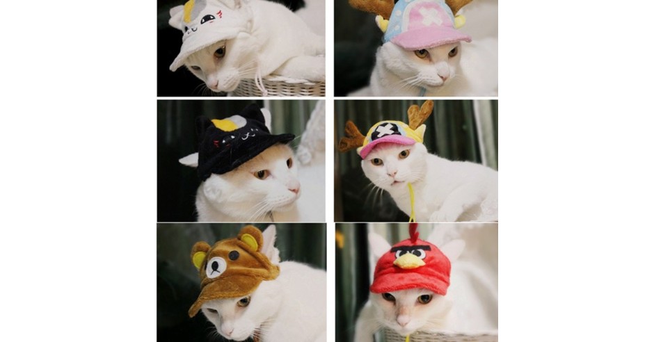 Sapca pt. pisica / catel sepci pisici catei caini palarie catelus caine ...