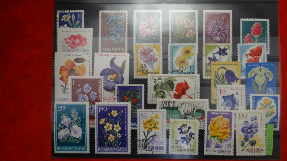 Timbre Romania-Lot Flora - Flori - F105 | arhiva Okazii.ro