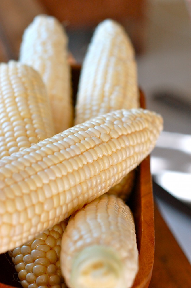 PORUMB ALB, DULCE - CEREALE RARE - plic cu 10 seminte - Viabilitate ...