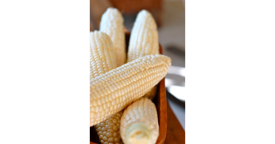 PORUMB ALB, DULCE - CEREALE RARE - plic cu 10 seminte - Viabilitate ...