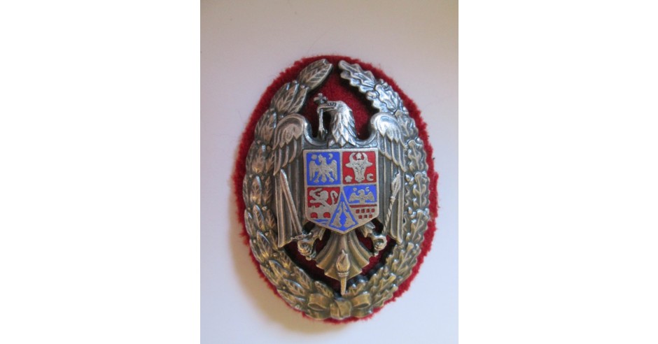 INSIGNA POLITIA ROMANA ANII 2000 | arhiva Okazii.ro