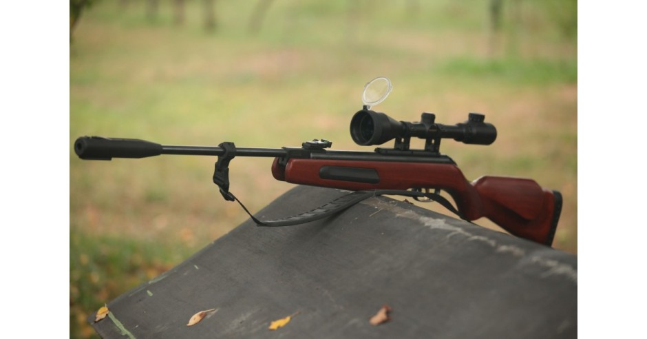 Pusca AC aer comprimat, Gamo Maxima, 6.35mm cu luneta Bushnell Dusk and ...