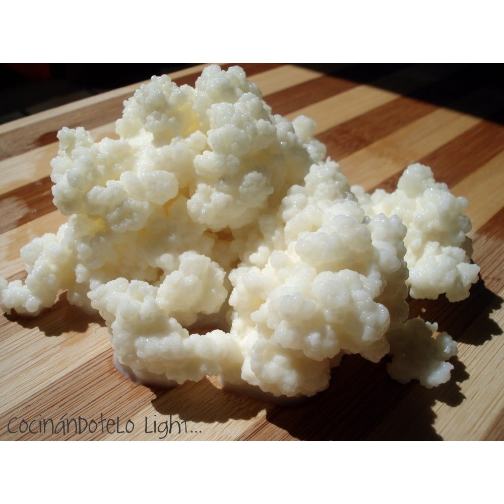 Vand chefir de lapte, kefir (ciuperca tibetana) | arhiva Okazii.ro