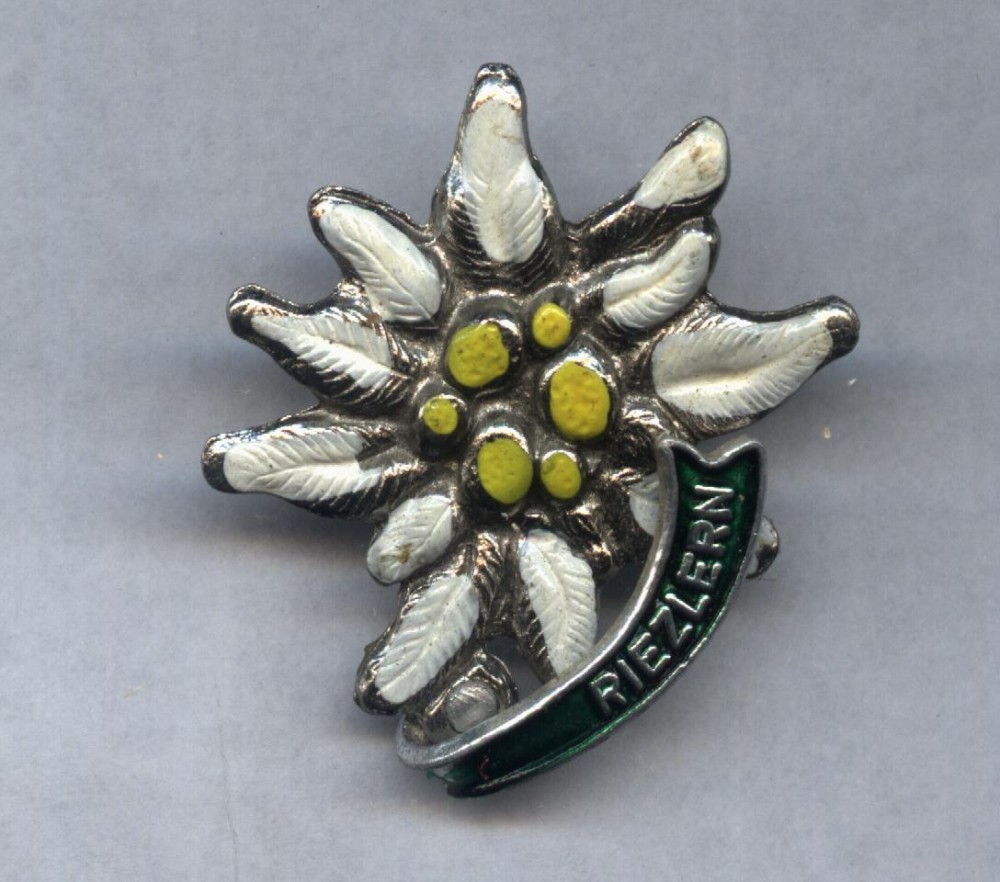 INSIGNA FLOARE DE COLT | arhiva Okazii.ro