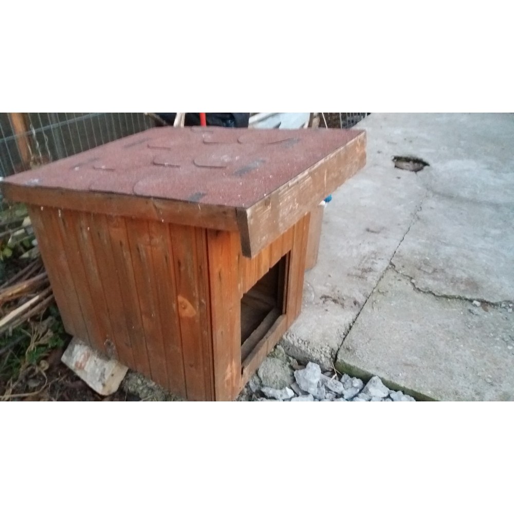 Cusca catel ,talie mica-medie | arhiva Okazii.ro