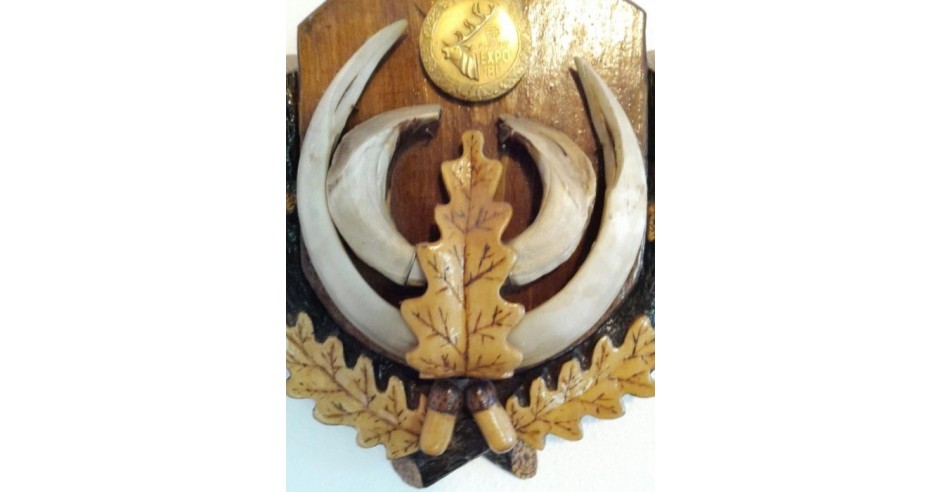 RARITATE !Trofeu colti de mistret ,medalie aur ,130.10 puncte C.I.C ...