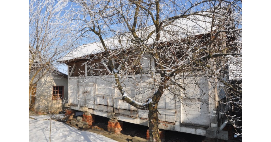 COTET DE PORCI | arhiva Okazii.ro