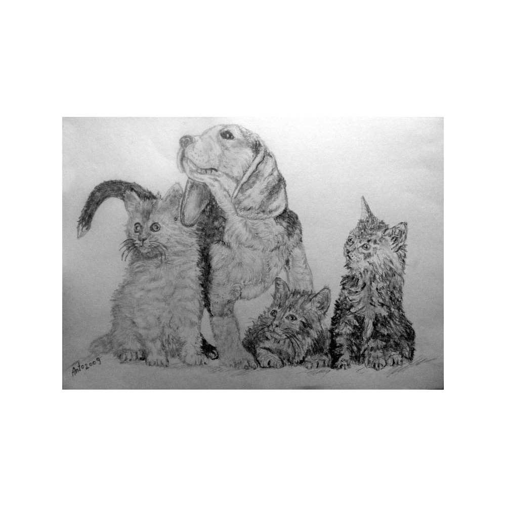 Desen in Creion, Caine si pisici, A4 de Bissinger Antoniu 2009 #67 ...