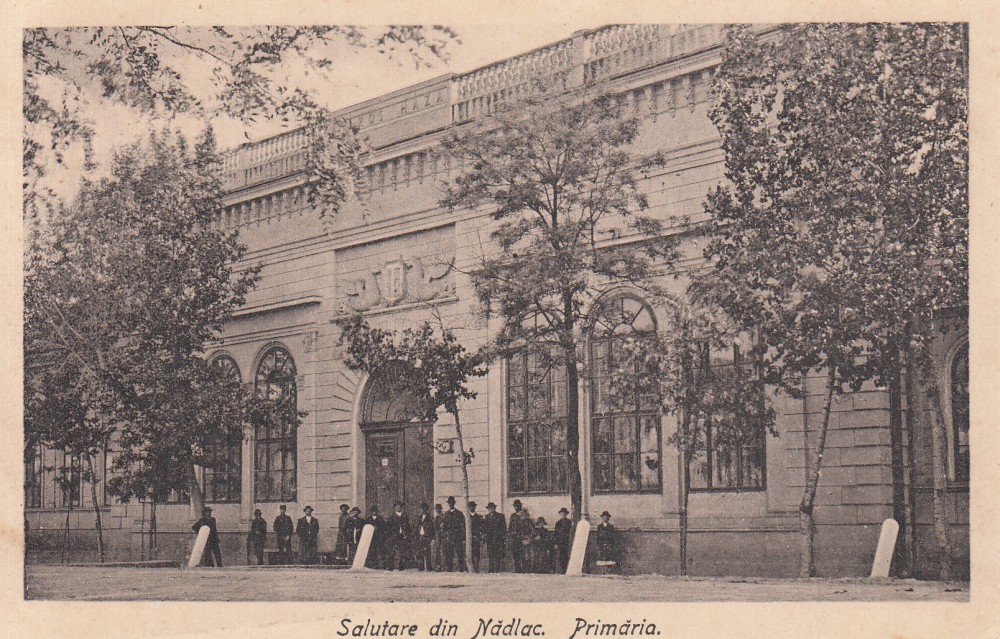 NADLAC , ARAD , SALUTARE DIN NADLAC , PRIMARIA | arhiva Okazii.ro