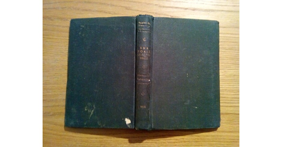 SUB POALA DE CODRU VERDE Manualul Taberilor STRAJERESTI - Teofil G ...