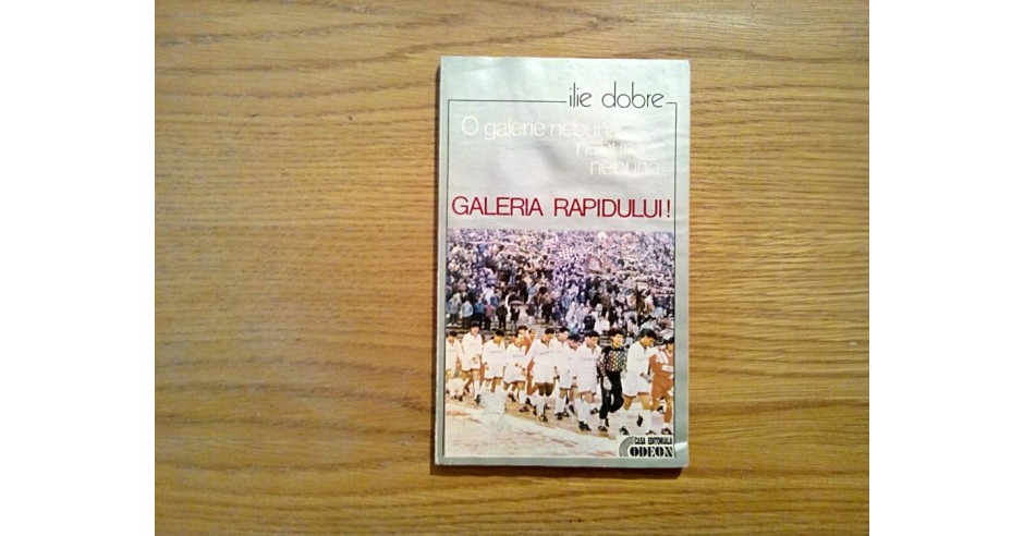 O GALERIE "NEBUNA, NEBUNA, NEBUNA..." * Galeria Rapidului - I. Dobre ...