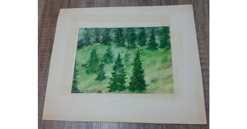 Padure de brazi/ acuarela pe hartie I.H. Georgescu, Peisaje, Altul ...