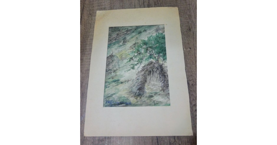 Bicazul Ardelean, Ticos/ capite de fan, acuarela pe hartie I.H ...