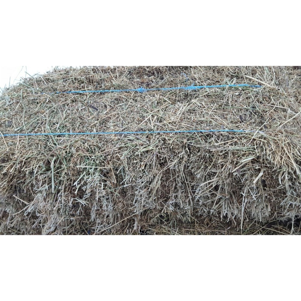 Baloti lucerna | arhiva Okazii.ro