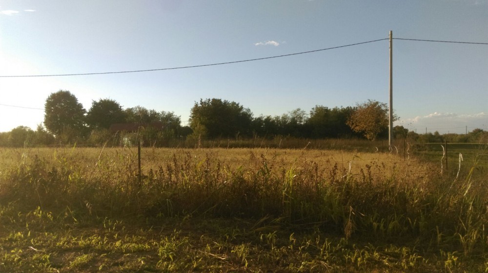 Vand teren intravilan sat Creata, comuna Dascalu, Ilfov, 1500 mp ...