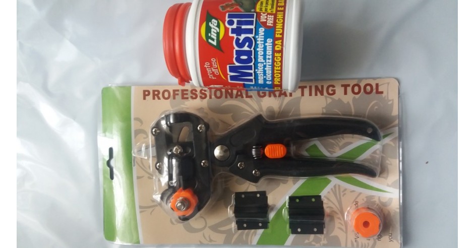 Cleste altoit PROFESIONAL + Mastic Italia PROFESIONAL 300g ...
