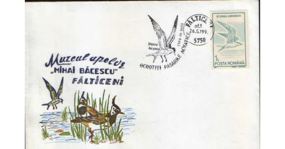 Romania - 1993-Plic oc.- Pasari de apa - Chira de balta - 2/scanuri ...