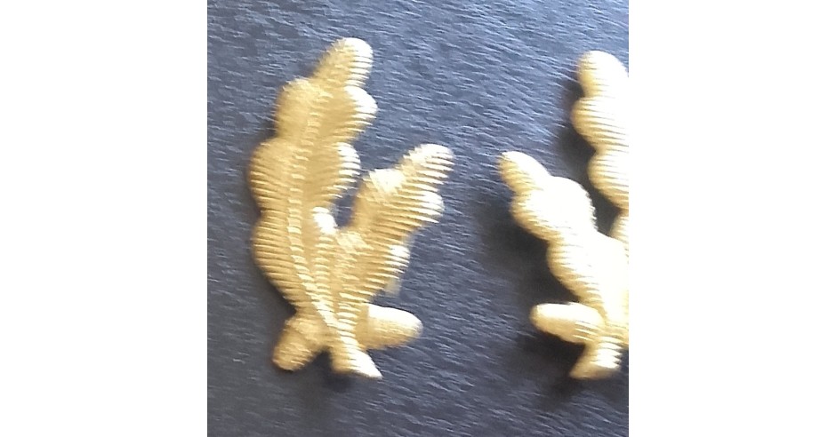 2 INSEMNE MILITARE | arhiva Okazii.ro