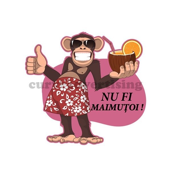 Sticker Auto / ,,Nu fi Maimutoi? | arhiva Okazii.ro
