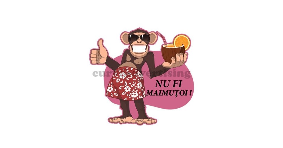 Sticker Auto / ,,Nu fi Maimutoi? | arhiva Okazii.ro