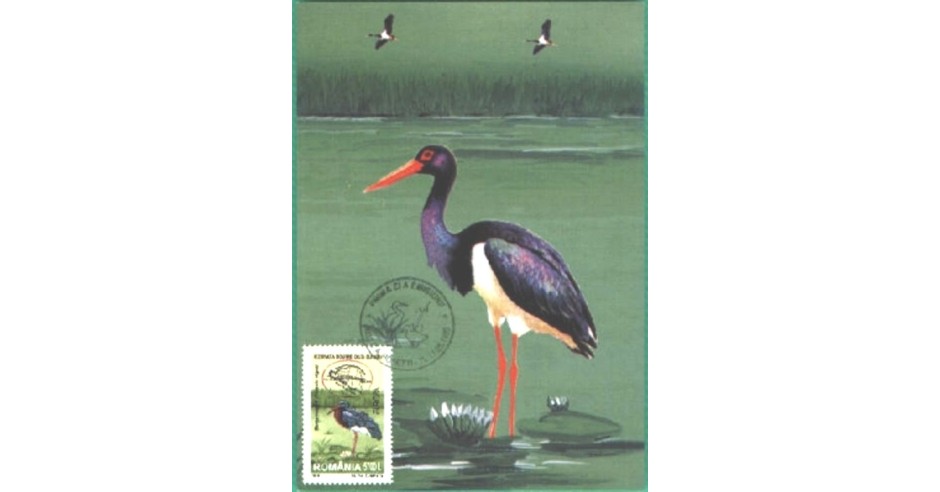 ROMANIA 1999 - REZERVATIA DELTA DUNARII. BARZA NEAGRA, Maxima - PRIMA ...