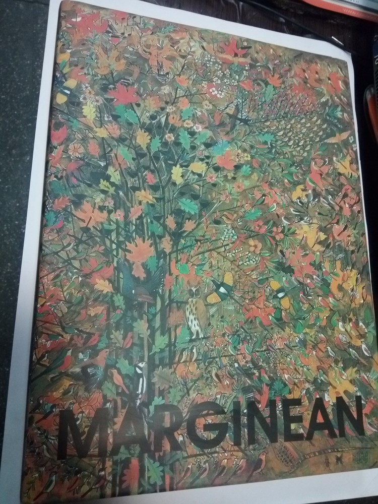 VIOREL MARGINEAN - Pictura.Desen.Obiect - 2004 ( album) | arhiva Okazii.ro