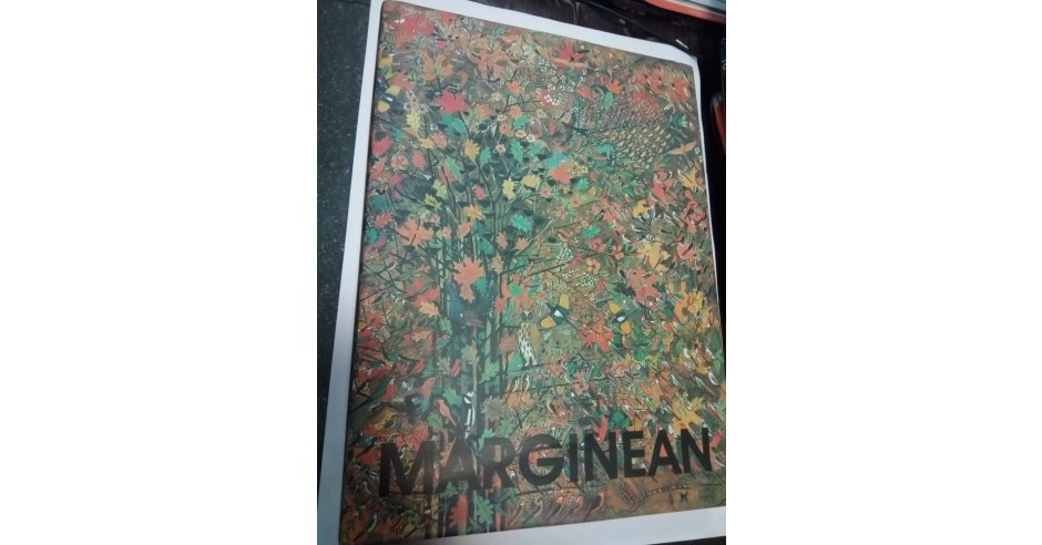 VIOREL MARGINEAN - Pictura.Desen.Obiect - 2004 ( album) | arhiva Okazii.ro