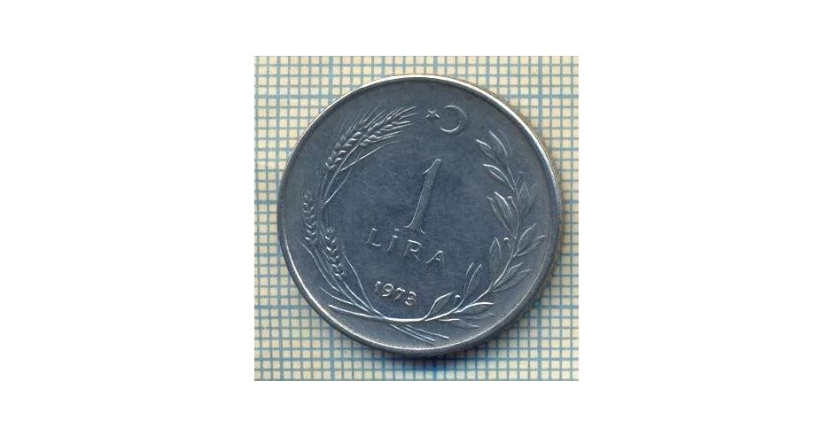 10246 MONEDA - TURCIA - 1 LIRA -anul 1973 -starea care se vede, Africa ...