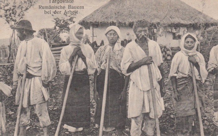 TARGOVISTE , TARANI ROMANI IN COSTUME POPULARE , LA MUNCA CAMPULUI ...