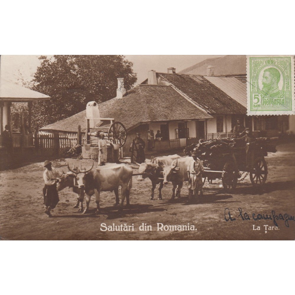 SALUTARI DIN ROMANIA LA TARA CALUGARITE CARUTA CU BOI TARANI TCV CIRC ...