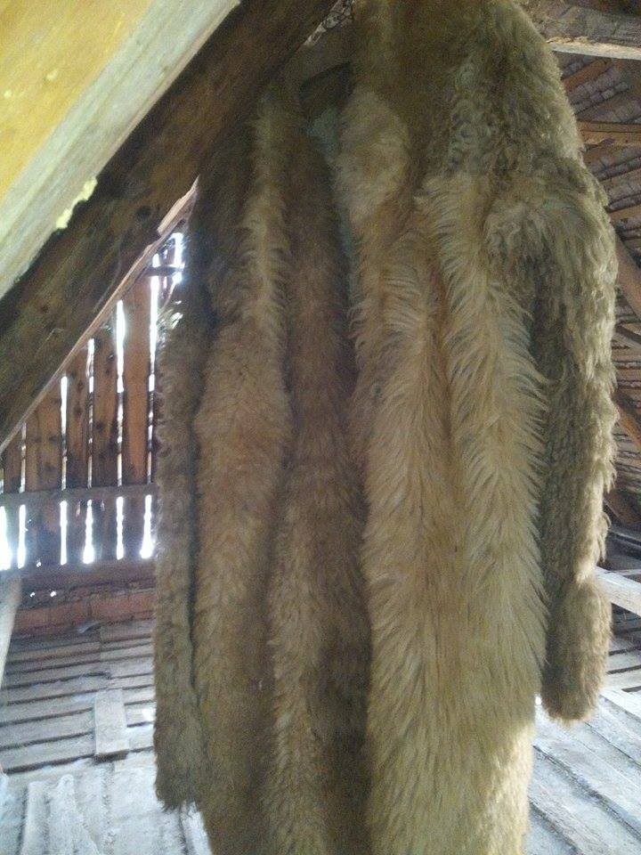 Vand cojoc ciobanesc | arhiva Okazii.ro