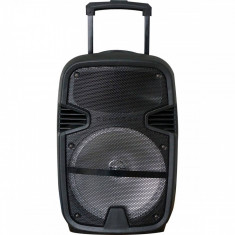 Boxa portabila Freeman Karaoke 1000, microfon, telecomanda, Bluetooth ...