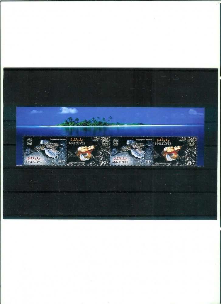 Fauna WWF - Fauna Marina - PESTELE DRAGON - Maldives - serie ...
