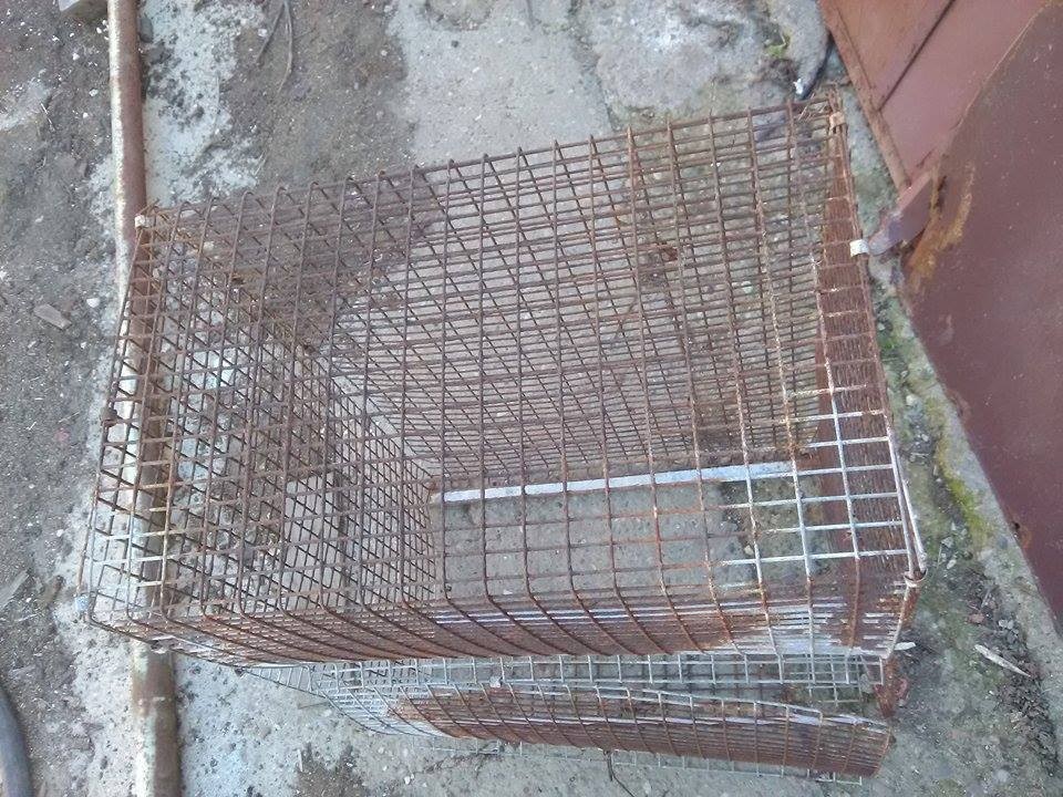 Custi pentru gaini si iepuri | arhiva Okazii.ro