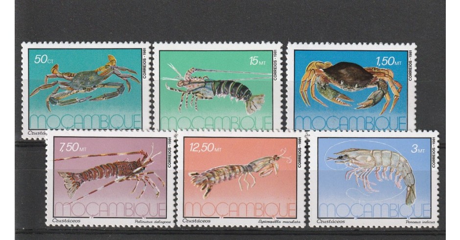 Fauna ,crabi,garizi etc Mozambic. | arhiva Okazii.ro