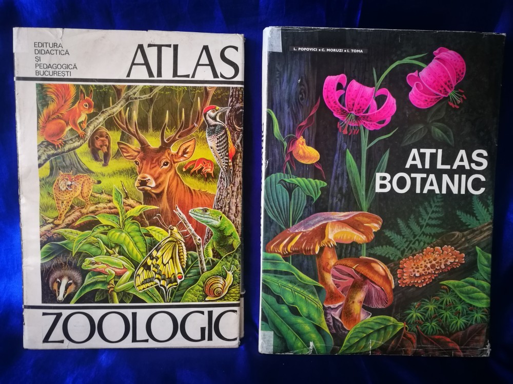 Atlas Botanic,1973. Atlas Zoologic, 1980. Atlas vechi. Format mare ...