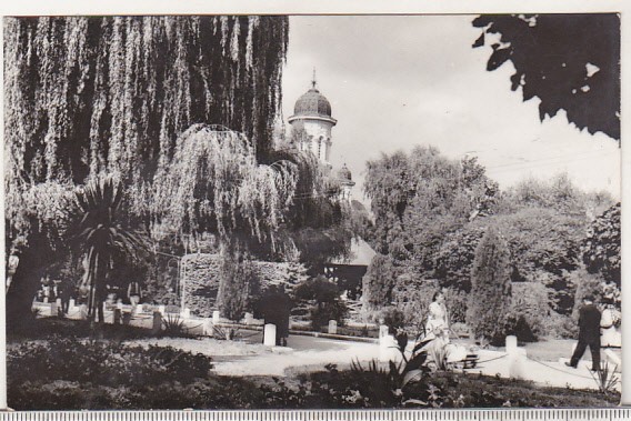 bnk cp Radauti - Vedere din parc - necirculata | arhiva Okazii.ro