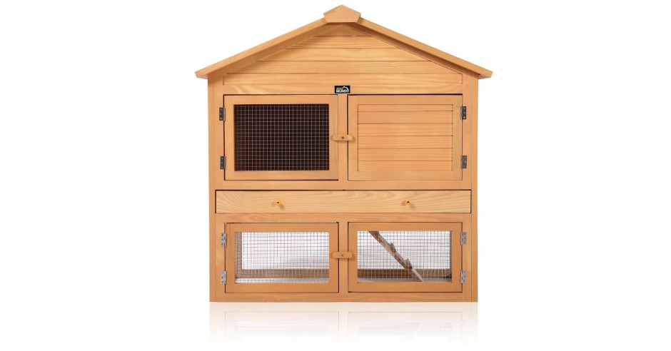 Cotet iepuri model "Zoomundo" | arhiva Okazii.ro