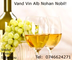 Vand Vin Alb Nohan Nobil! | arhiva Okazii.ro