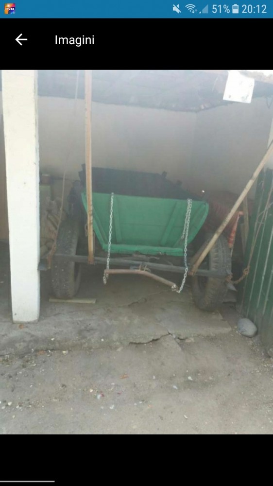 Caruta cal | arhiva Okazii.ro