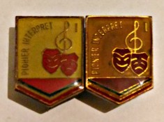 LOT 2 INSIGNE PIONIER INTERPRET CLASA 1 NUANTE DIFERITE EMAIL CALD ...