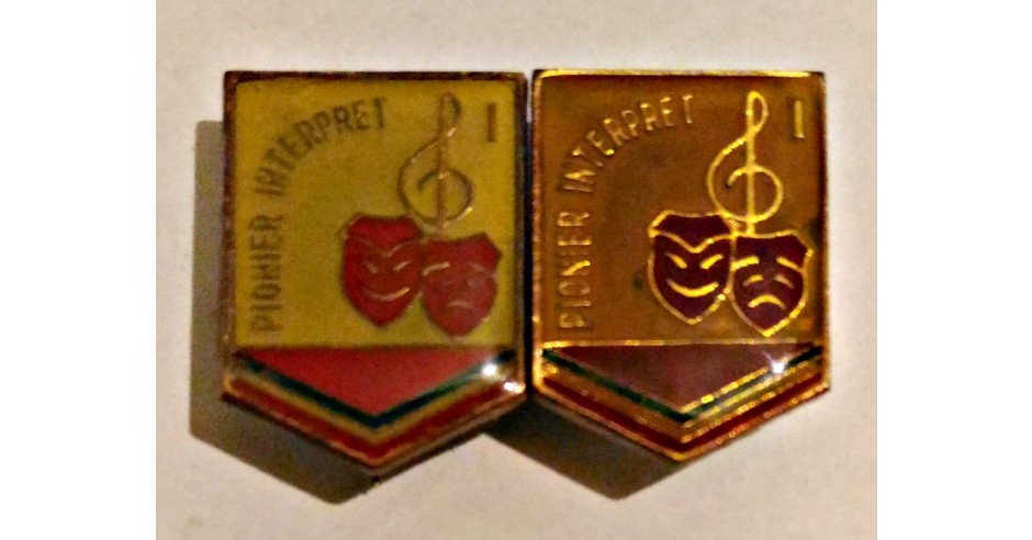 LOT 2 INSIGNE PIONIER INTERPRET CLASA 1 NUANTE DIFERITE EMAIL CALD ...