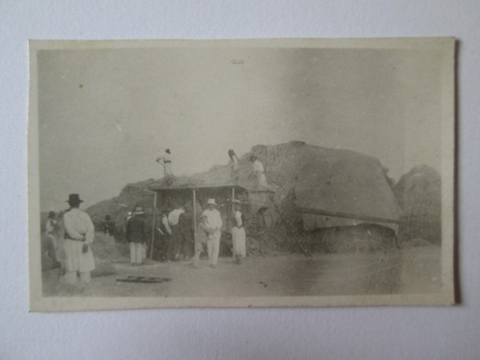 Mini fotografie colectie 64 x 40 mm capite de fan din anii 30, Alb ...