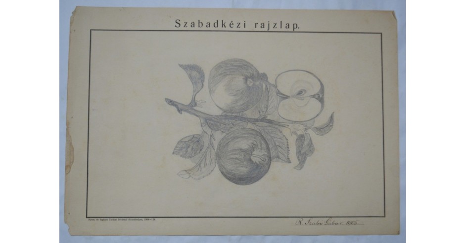 Mere vechi desen 1905, Natura statica, Carbune, Realism | Okazii.ro