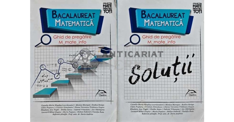 Bacalaureat matematica. Ghid de pregatire + solutii - 2017 - Camelia ...
