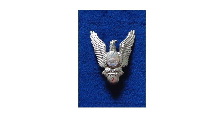 Insigna militar- PILOT- clasificat clasa II - Aviatie-RSR-Aviator ...