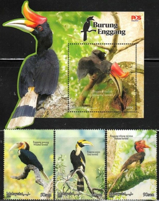 MALAYSIA 2024 FAUNA PASARI PASAREA RINOCER, Nestampilat | Okazii.ro