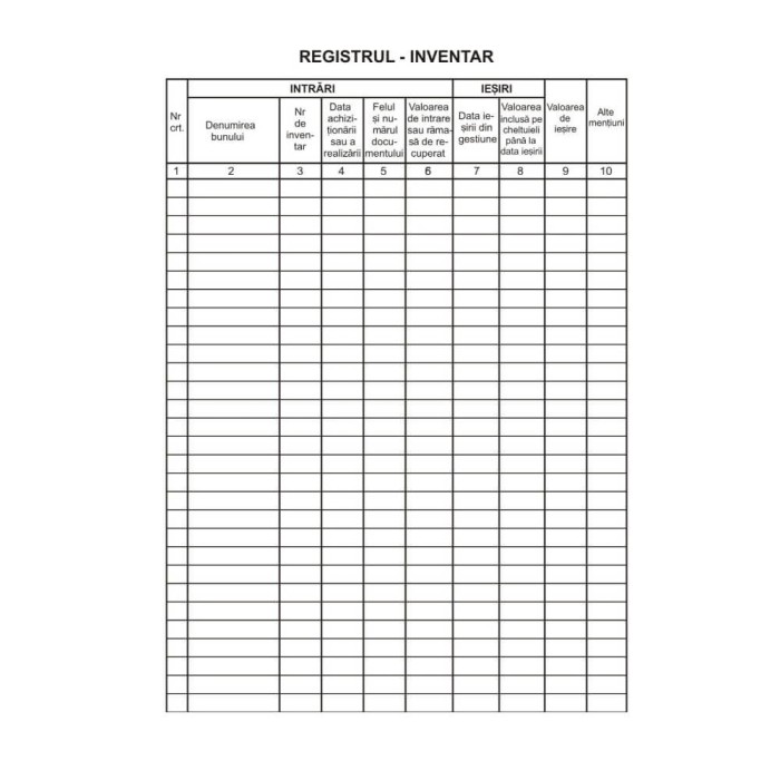 Registru Inventar Vertical A4, 100 File/Carnet - Formular Tipizat ...