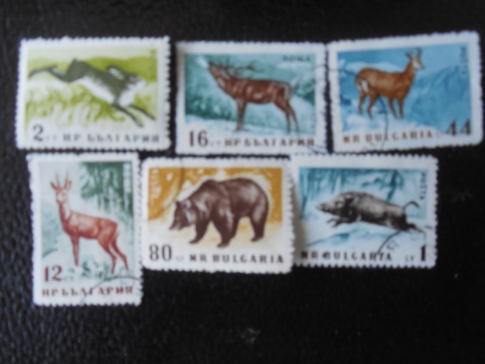 Serie timbre fauna animale stampilate Bulgaria timbre filatelice ...